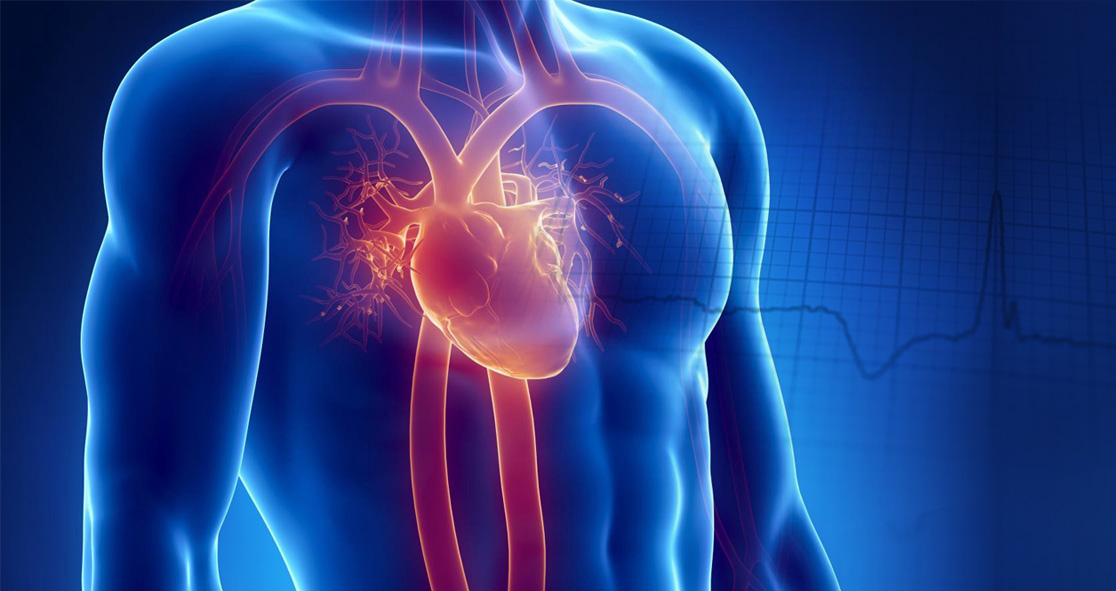 World’s First AI Accurately Predicts Major Cardiac Events ...