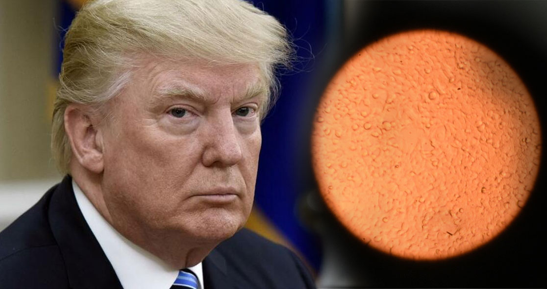 Trump’s COVID-19 Treatments Were Developed from Human Cells Derived ...